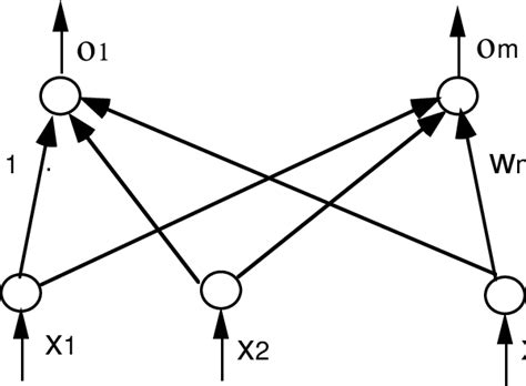 11 Single Layer Feedforward Network With M Output Units Download Scientific Diagram