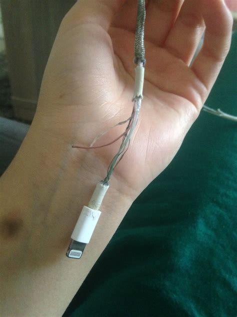 New Apple Products That The World Actually Needs