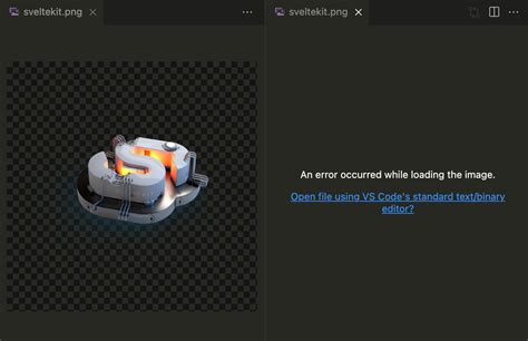 sveltekit tries to process png files in `src lib ` while copying them