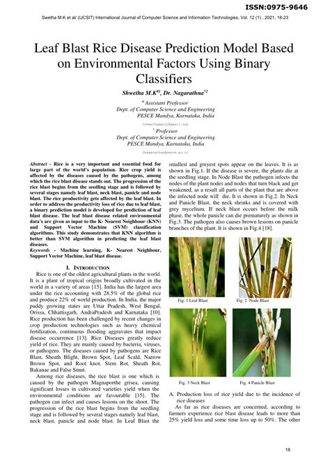 PDF Leaf Blast Rice Disease Prediction Model Based On Environmental Factors Using Binary