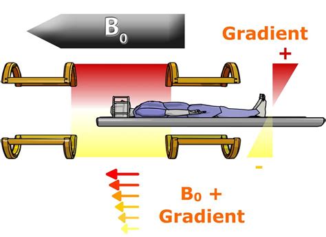 Mri Instrumentation And Safety Magnetic Field Gradients E Mri