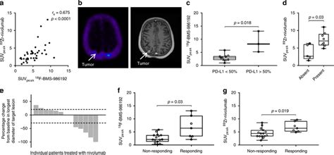 Tracer Uptake And Correlation With Immunohistochemical Staining And