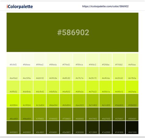 Mud Green Similar Color 586902 Information Hsl Rgb Pantone