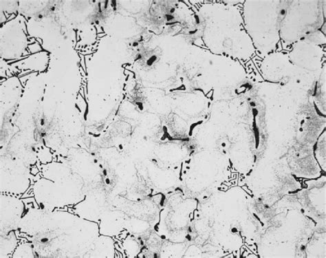 Microstructure Of The Composite Download Scientific Diagram Microstructure Of The Composite Download Scientific Diagram