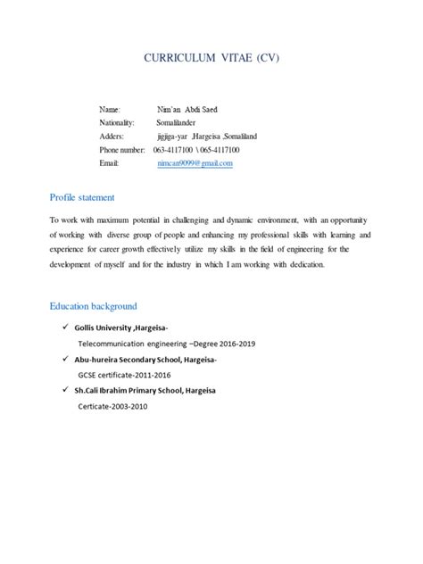 Curriculum Vitae Cv Profile Statement Pdf