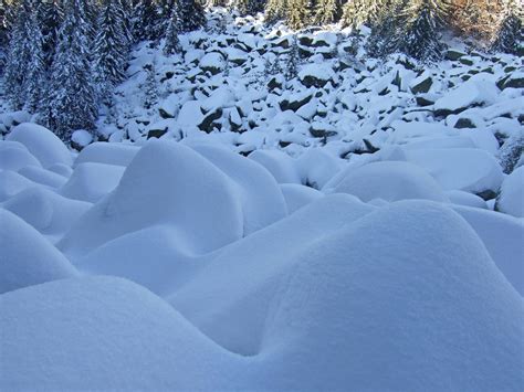 Снежна разходка до Витоша Боерица Кумата Раждане на добро настроение