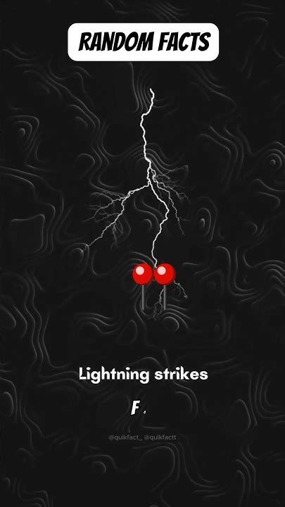 Some Random Facts 🎓 Shorts Facts Funfacts Didyouknow Youtube