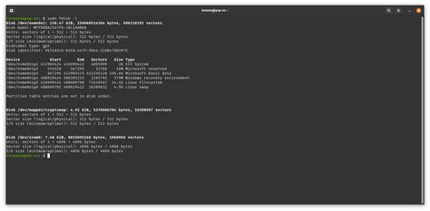 windows 11 not being found when dual booting r pop os