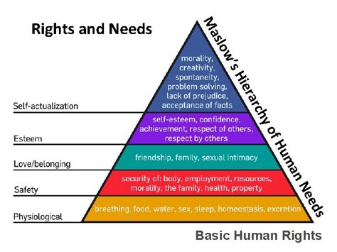 Chapter 5 Basic Human Rights Basic Human Rights