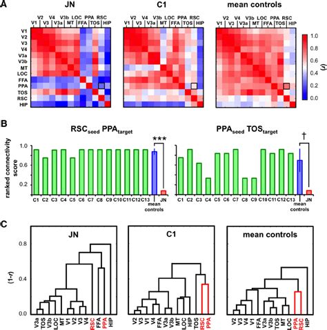 Functional Connectivity A Temporal Correlation Matrix For Jn C1