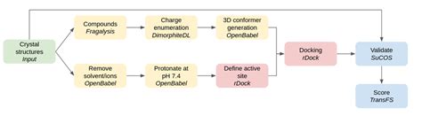 Schematic Of The Docking And Scoring Workflow Download Scientific