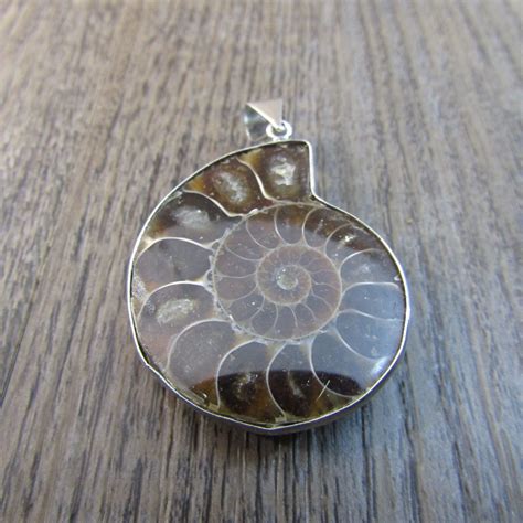 Ammonite Fossil Pendant Crystal Deva Online