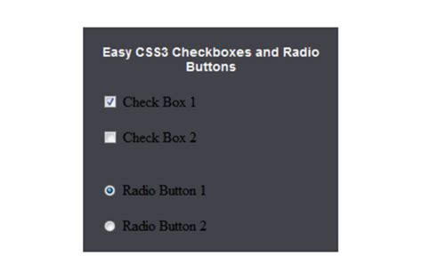 使用CSS 快速美化radio和checkboxQuick Tip Easy CSS Checkboxes and Radio Buttons zcw的博客
