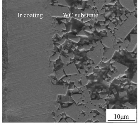 Sem Micrograph Of The Cross Section Of The Ir Coating Download