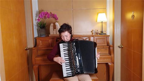 청춘 고백 아코디언 연주 Youtube