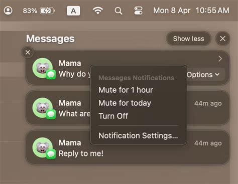 How To Mute Notifications On Mac