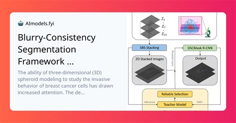 Blurry Consistency Segmentation Framework With Selective Stacking On