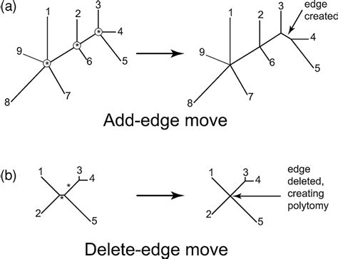 The Two Dimension Changing Moves A An Add Edge Move Creates A New Download Scientific