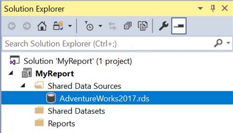 ssis ssrs sql server information reporting services basics understanding data sources and datasets