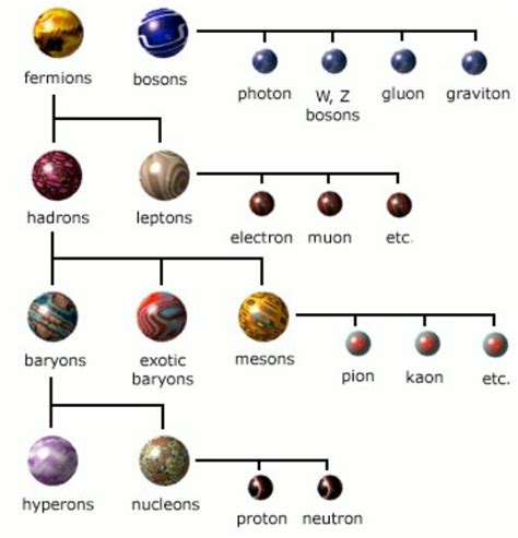 Particle Classification Physics And Mathematics Physics Facts
