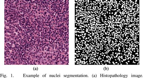 Figure 1 From A Weakly Supervised Method With Colorization For Nuclei