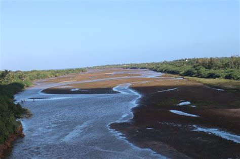 Litali Kingsley Posted On Linkedin