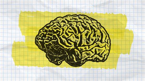 This Tiktok Trend Will Make You Want To Learn Again—with A Catch Fast