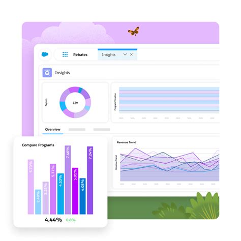 Rebate Management Salesforce Uk