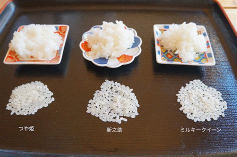 おにぎりに向いているお米の品種はどれだ？3銘柄で徹底比較してみたよ Roomie（ルーミー）