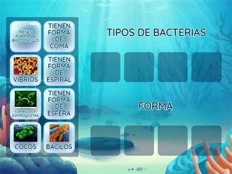 Tipos De Bacterias Group Sort