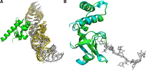 Figure 1 From A Structure Based Model For The Prediction Of Protein Rna Binding Affinity