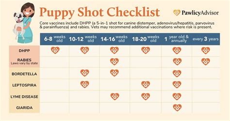 Puppy Vaccine Schedule For First Year Shots Pdf Chart Pawlicy