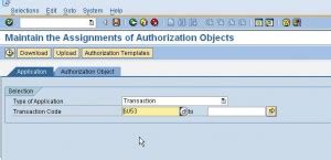 SU Maintain Check Indicators Sap Security Pages