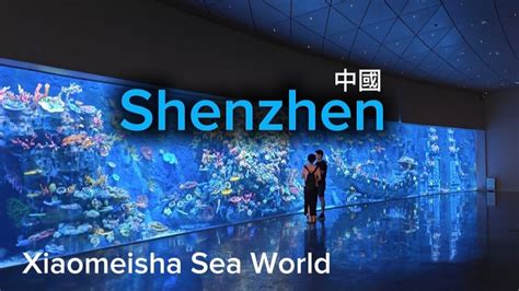 Xiaomeisha Sea World Shenzhen China Youtube