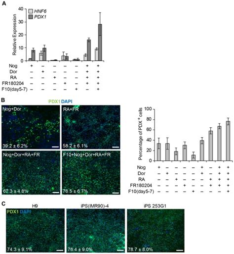 Endodermal Differentiation Of Human Pluripotent Stem Cells To Insulin