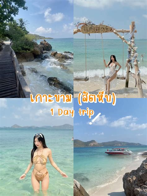 รีวิวเกาะขามสัตหีบ 1วันไป กลับ แกลเลอรีที่โพสต์โดย b💐 lemon8