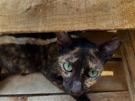 Pin By Roshan On Screenlock Wallpaper Lock Screen Wallpaper