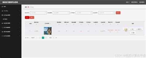 java vue计算机毕设高校实习管理平台系统【源码 程序 论文 开题】 csdn博客