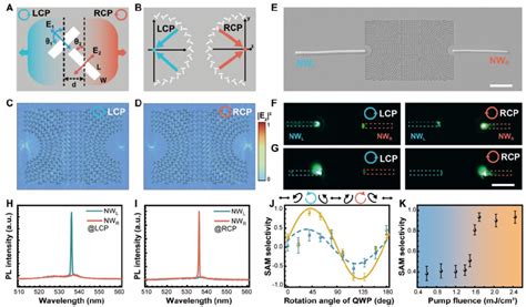 Experimental Demonstration Of Nonlinear Sam Selectivity In A Download Scientific Diagram