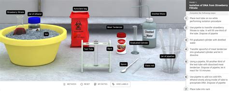 Make The Introduction Part Of A Laboratory Report Of Chegg