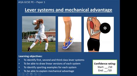 AQA GCSE PE Paper Powerpoints Teaching Resources