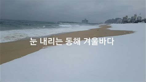 눈 내리는 동해 겨울바다 4k Youtube