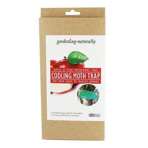 Codling Moth Trap For Apple Pest Control
