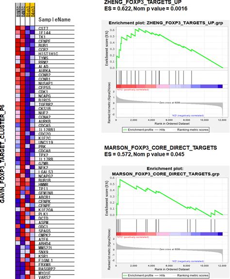 Figures And Data In The Rna Helicase Ddx39b Activates Foxp3 Rna Splicing To Control T Regulatory