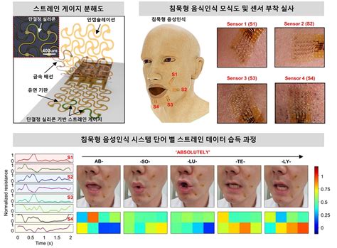 인공지능으로 청각장애인 삶의 질 높인다 연세대 유기준 교수팀 Ai 기반 침묵형 음성인식 시스템 개발