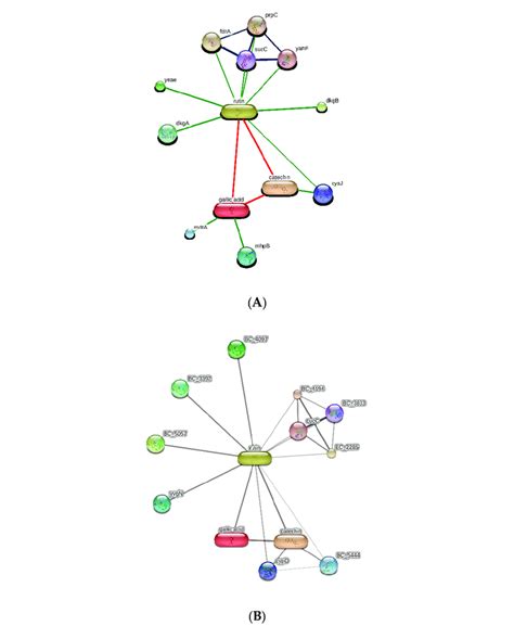 Targets Components Analysis Conducted On The Stitch Bioinformatics Download Scientific Diagram