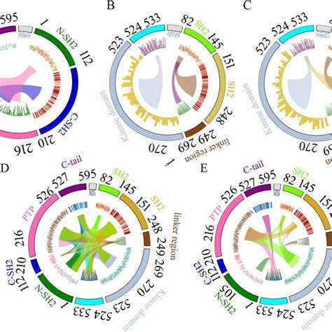 Surface View And The Conformational Switches In Shp 1 Upon Binding Of