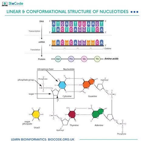 biocode on linkedin bioinformatics computationalbiology datascience