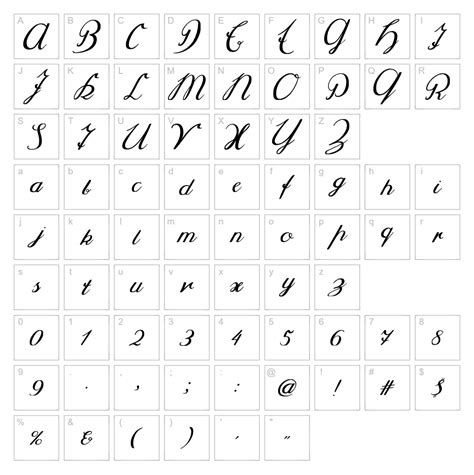 Selya Font Vectordad