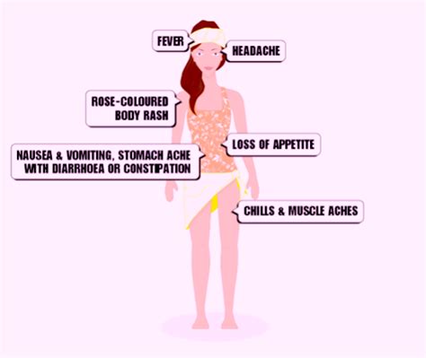 Things You Need To Know About Widal Test